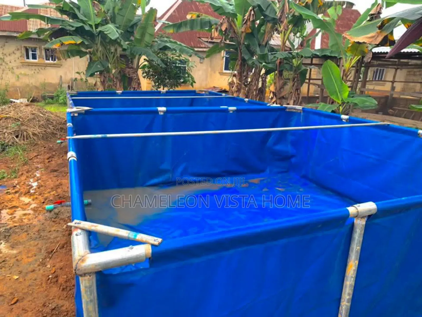 Fish Pound in Ikeja - Farm Animals, World With End | Jiji.ng