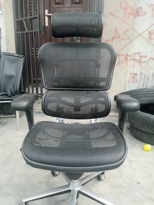 Ergohuman Chair in Ajah - Furniture, Lord Is Good Venture | Jiji.ng