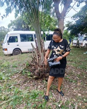 Palm Crest Palm Oil Farmland in Imeko Afon - Land & Plots for Sale ...