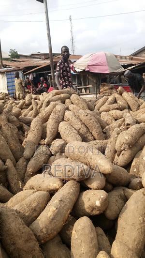 Farm Fresh Yam Direct to You – Order Now! . Yam for Sale – in Ajah ...