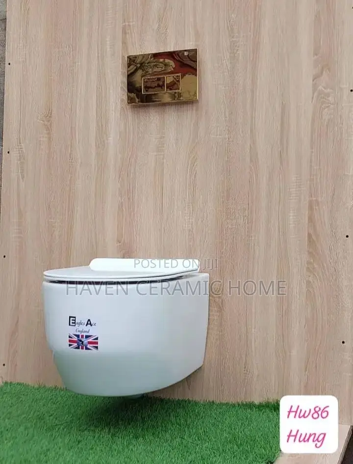 Conceal Water Closet in Ojo - Plumbing & Water Systems, Haven Ceramic ...
