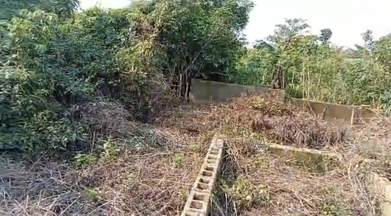 1 Plot of Land at Afosnyin Area in Akpalia Near Camp Abeokuta in Odeda - Land & Plots for Sale ...