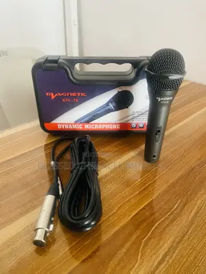 Magnetic Wired Microphone in Ikeja - Audio & Music Equipment, Blessed ...