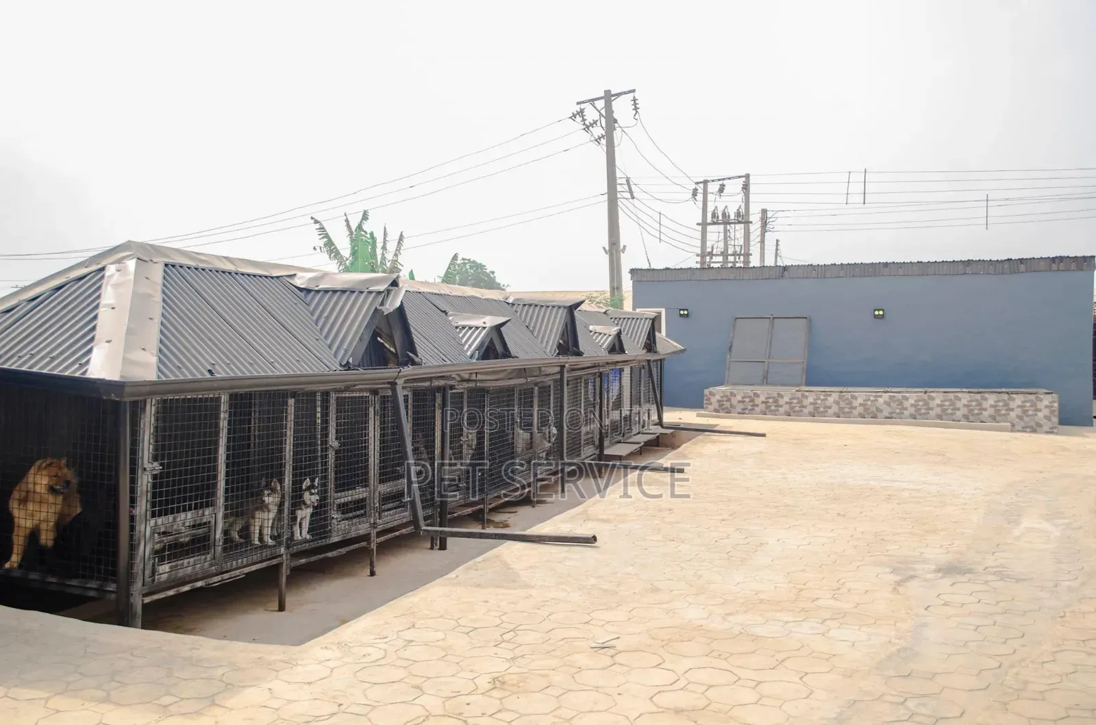 Pet Hotel/Dog Boarding in Alimosho - Pet Services, Pet Service | Jiji.ng
