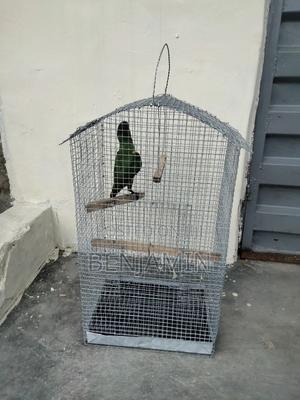 Bird / Parrot Cage in Amuwo-Odofin - Pet Accessories, Benjamin ...