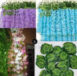 Turkish Gallant Flower, Wisteria Flowers, Fence Mat in Ikeja - Garden ...