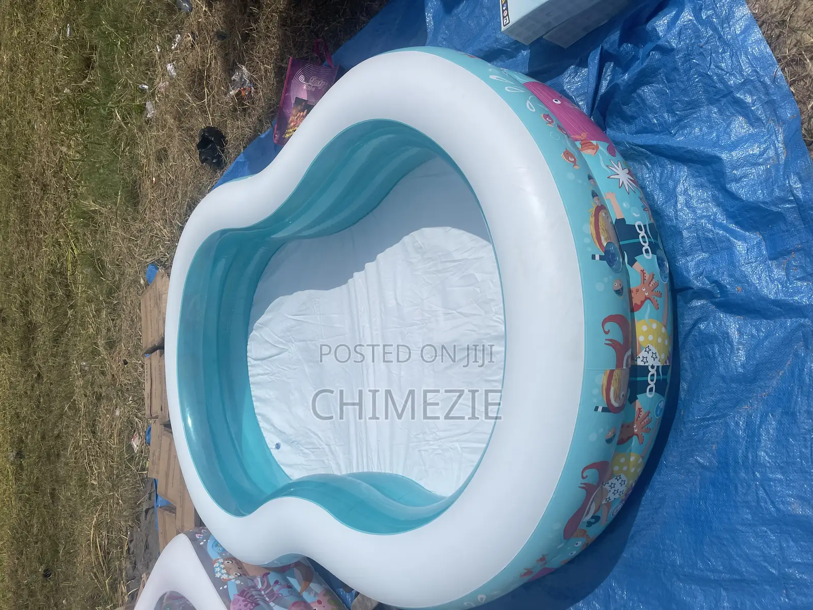 Intex Snorkel Fun Swim Center Family Poo in Ojo - Sports Equipment ...