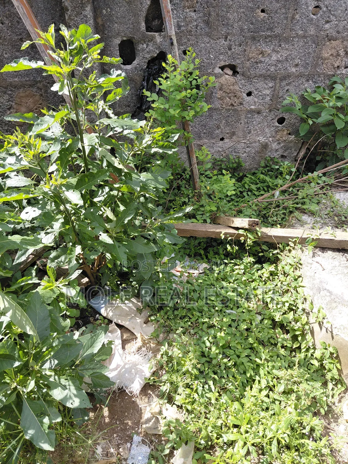77 Acers of Land by Opic Estate Agbara Ogun State for sale - MOLE REAL ...