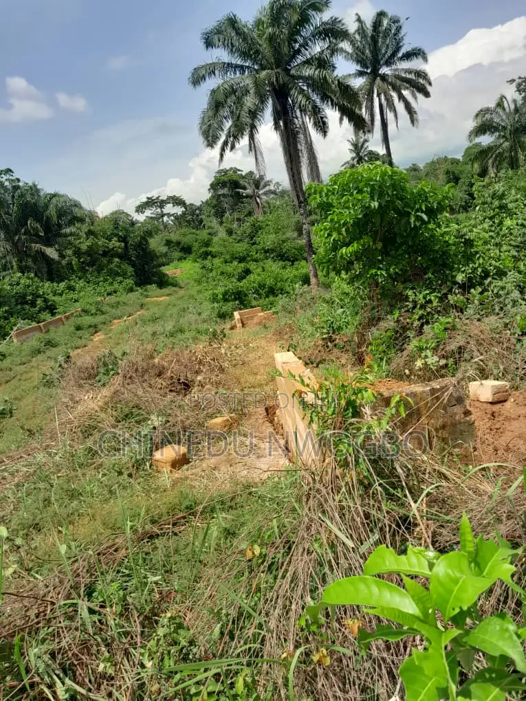 A Plot of Land for Sale in Awka - Land & Plots for Sale, Chinedu Nwogbo ...