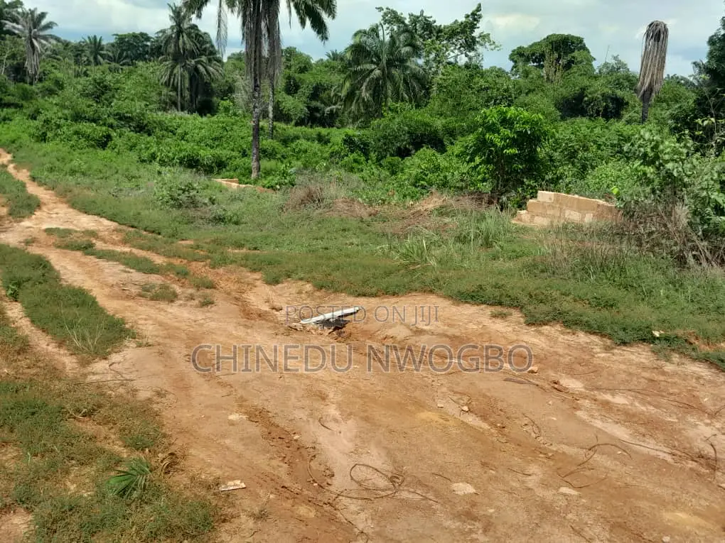 A Plot of Land for Sale in Awka - Land & Plots for Sale, Chinedu Nwogbo ...