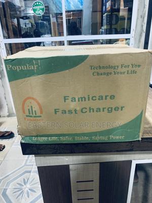 Famicare Battery Charger for sale - Eastern Solar Energy &SERVICES ...