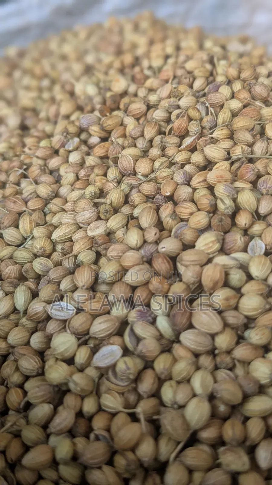 Coriander Seeds in Birnin Kebbi - Food & Beverages, Alelawa Spices ...