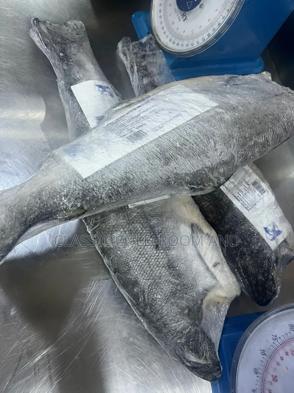 Wild Pacific Keta Salmon Fish Full Size Without Head Available in Lekki ...