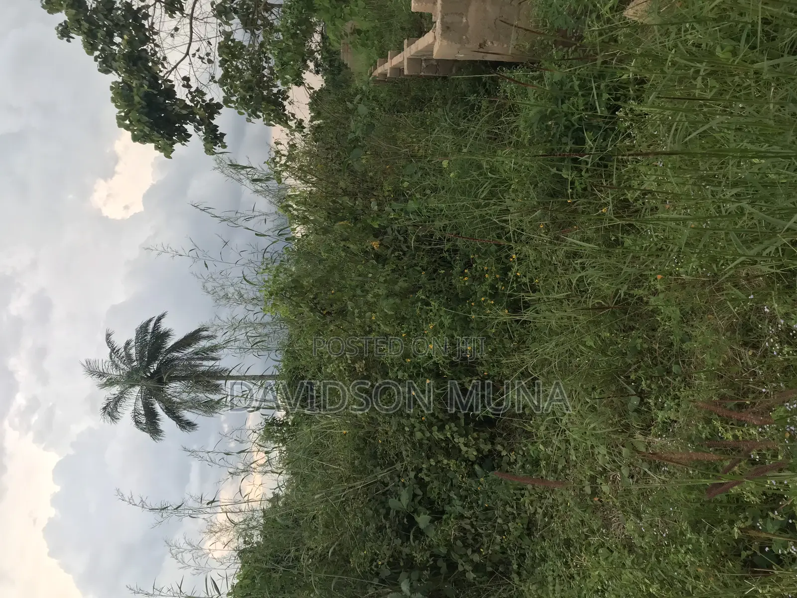 2 Plots of Land Located at Ogbaku Owerri Imo State in Owerri - Land ...