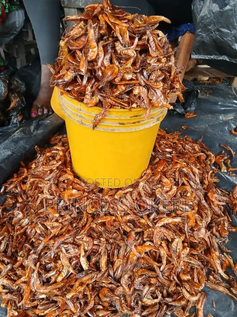 Clean Oporo (Dried Shrimps) Available in Large Quantity in Yenagoa ...
