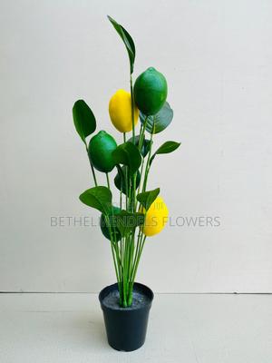 Bulk Buyers Wanted Nationwide for Artificial Mini Potted Lemon Plant in ...