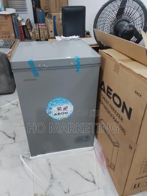 Aeon 100l Deep Freezer: Low Voltage Starter (100v-260v) in Agbara ...