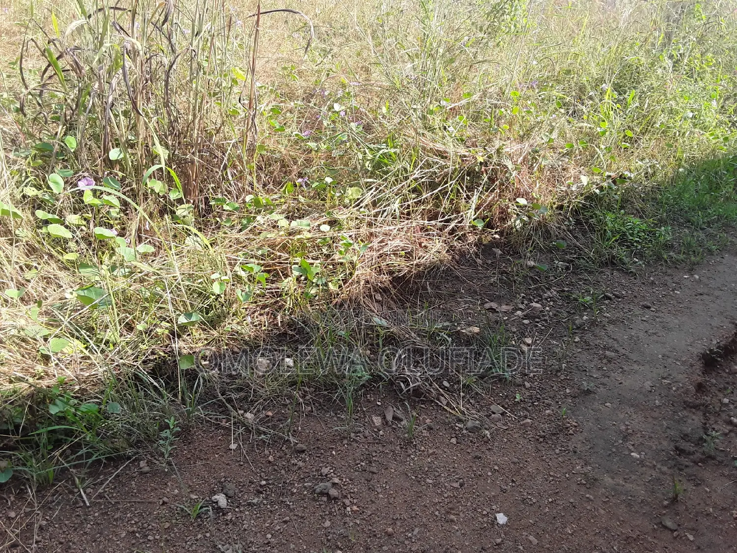 5acres of Land for Sell at 10million in Imeko Afon - Land & Plots for ...