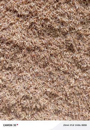 High Quality Rice Hull/Husk/Bran in Kano Municipal - Seeds ...