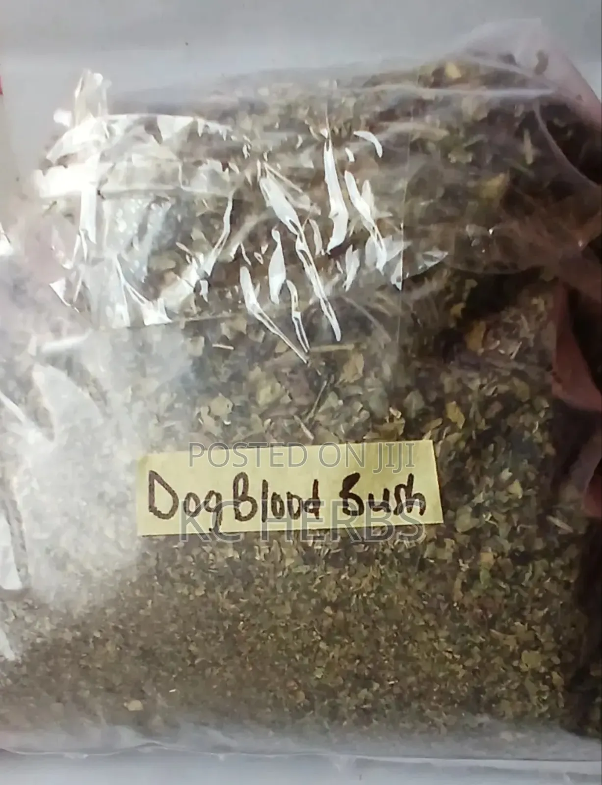 Dog Blood Bush Tea/Fertility Support 50g in Port-Harcourt - Vitamins ...