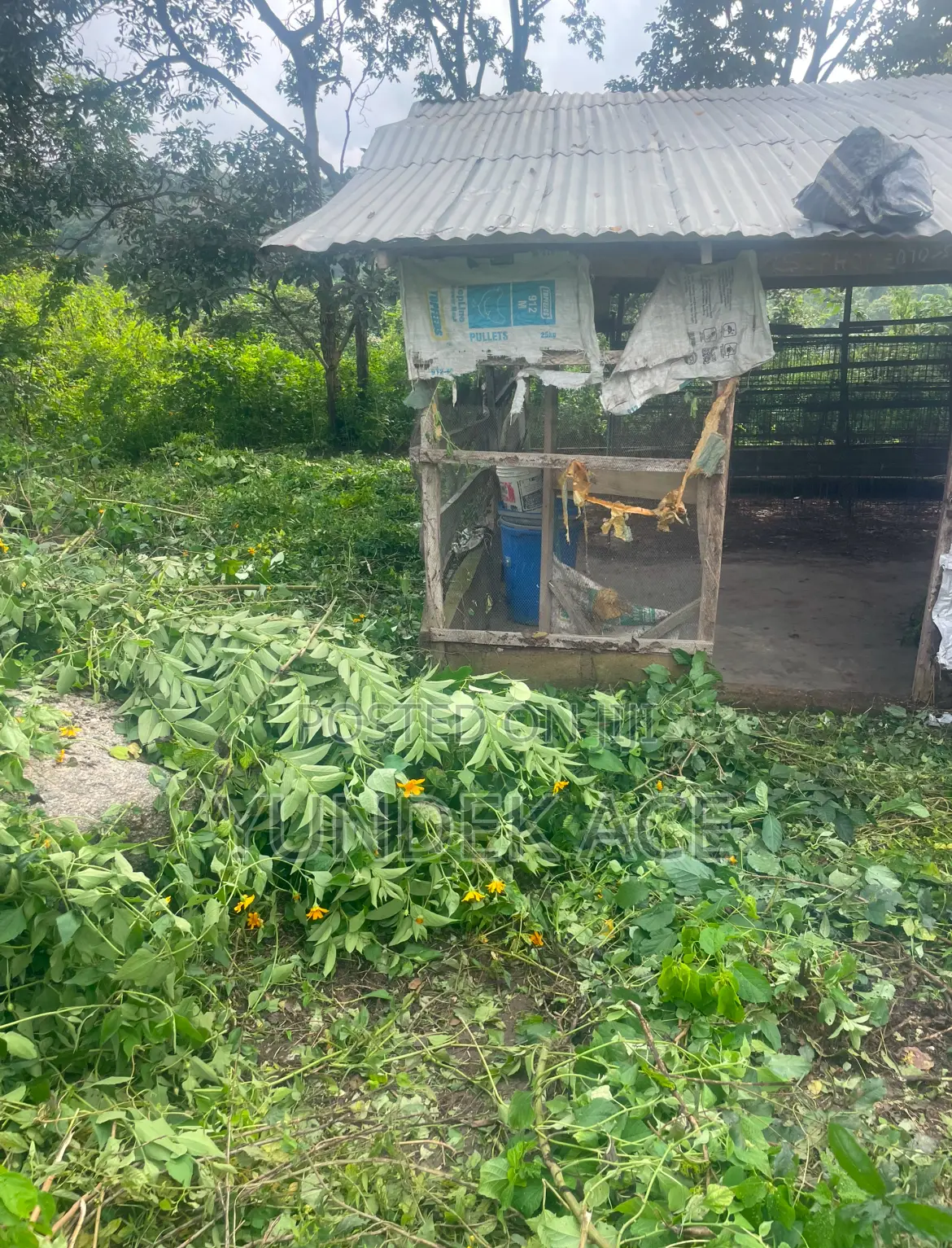 A Plot of Land 50x100ft in Iree, Osun State Close Ospoly Main Campus ...