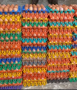 Farm Eggs in Ogun State for sale Prices on Jiji.ng