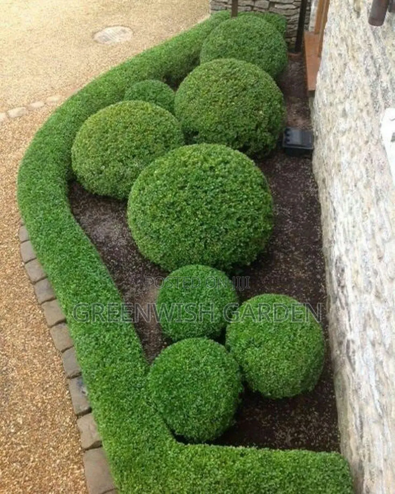 Garden,Landscaping and Horticulture for sale - Greenwish Garden Price ...