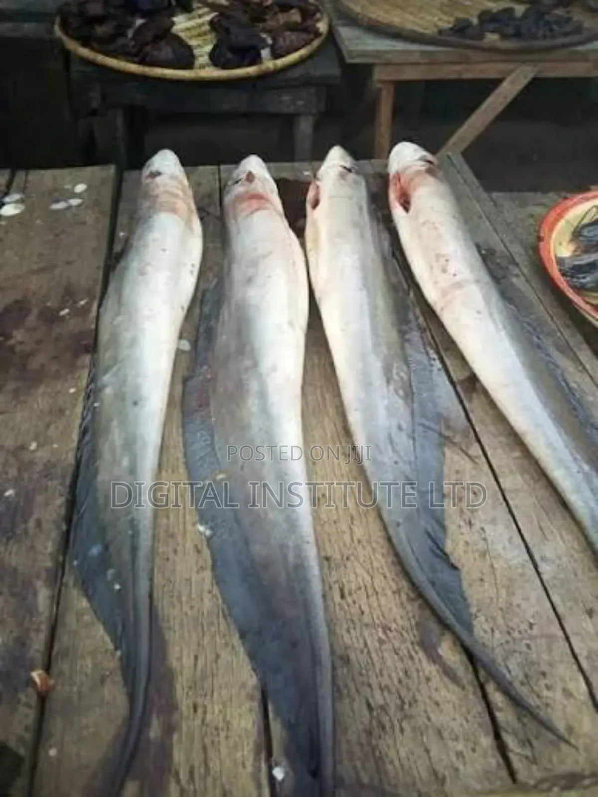 Fresh Sea Fish Assorted in Magodo - Food & Beverages, Digital Institute ...