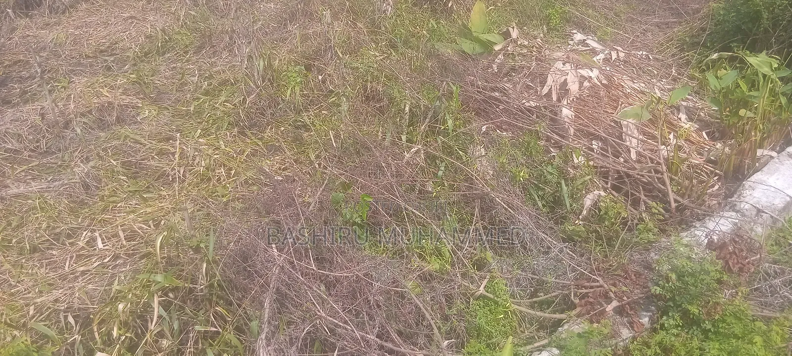 Half Plot Land at Diamond Garden Estate Road 7 Abulado Lagos in Amuwo ...