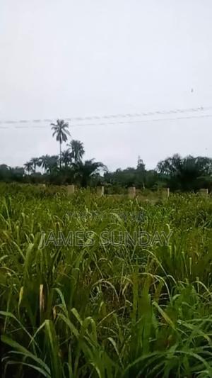 One (1) Residential Plot Of Land At Mereje Town Okpe Lga, Delta State ...