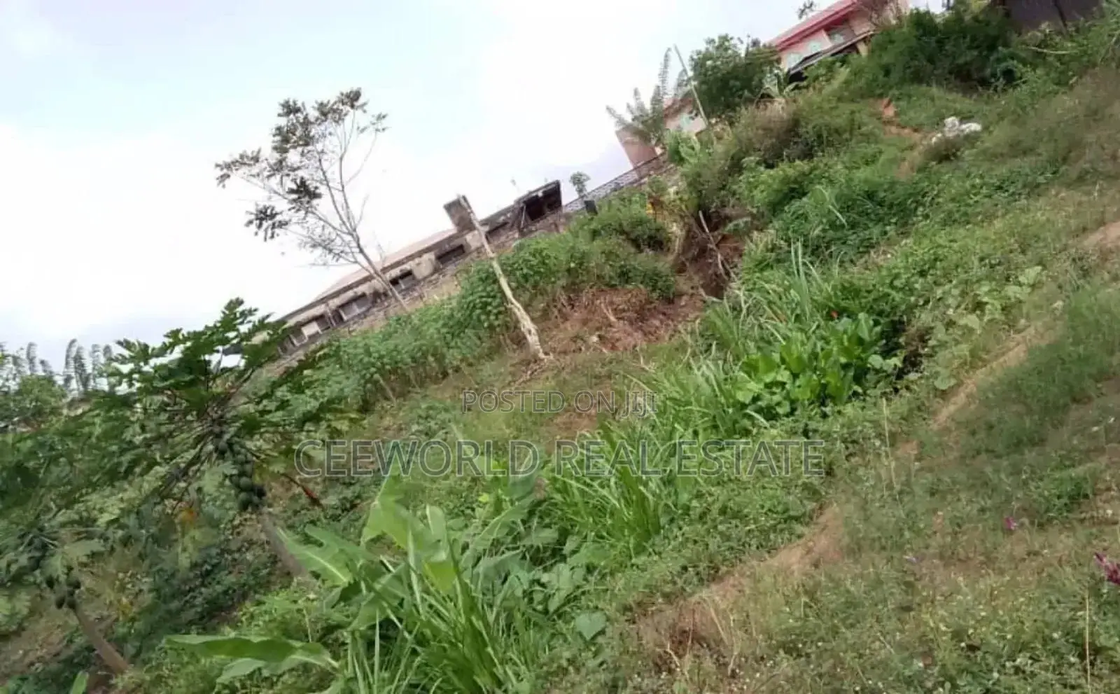 Quick 1948 SQM of Empty Land at Idishin Jericho Gra in Jericho - Land ...