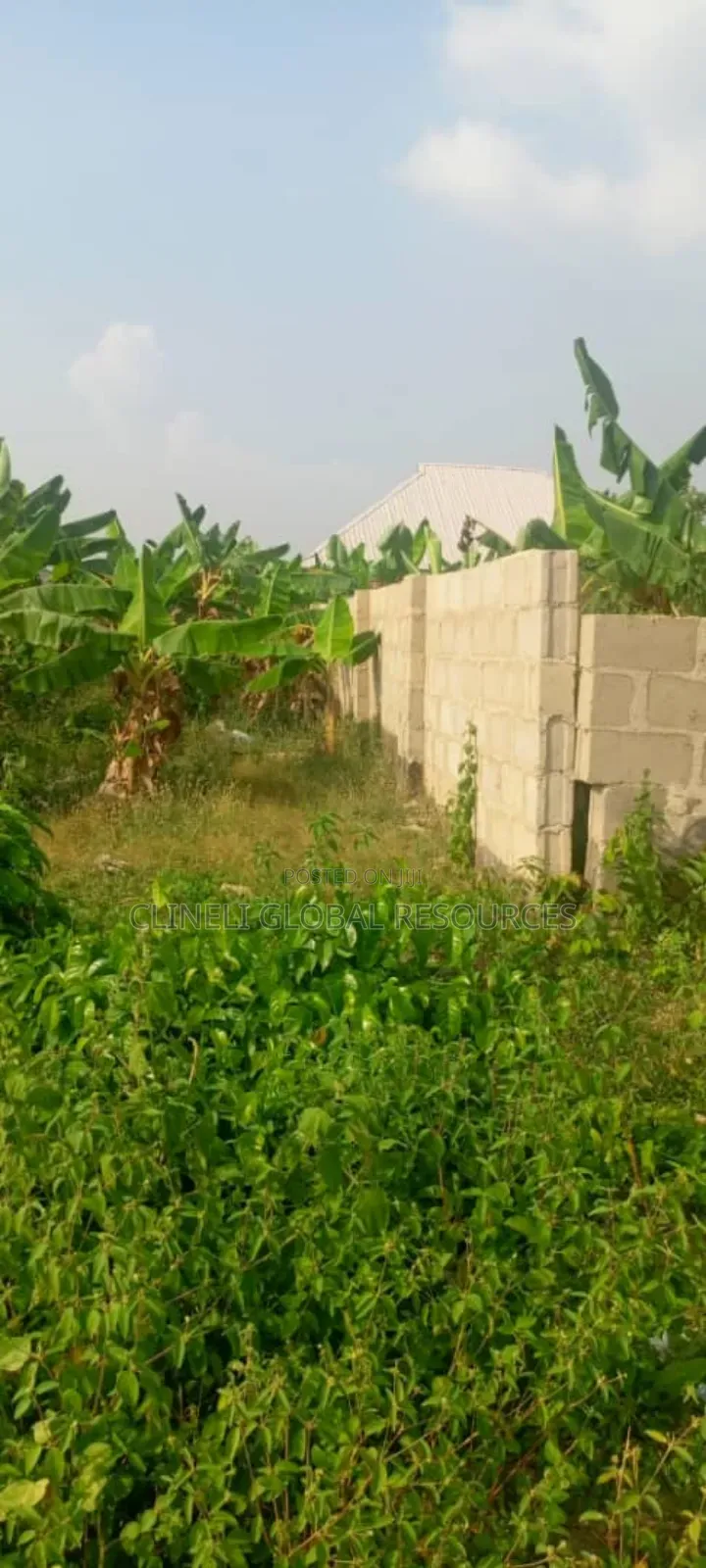 Plot Selling in Igbogbo - Land & Plots for Sale, Godswill David | Jiji.ng