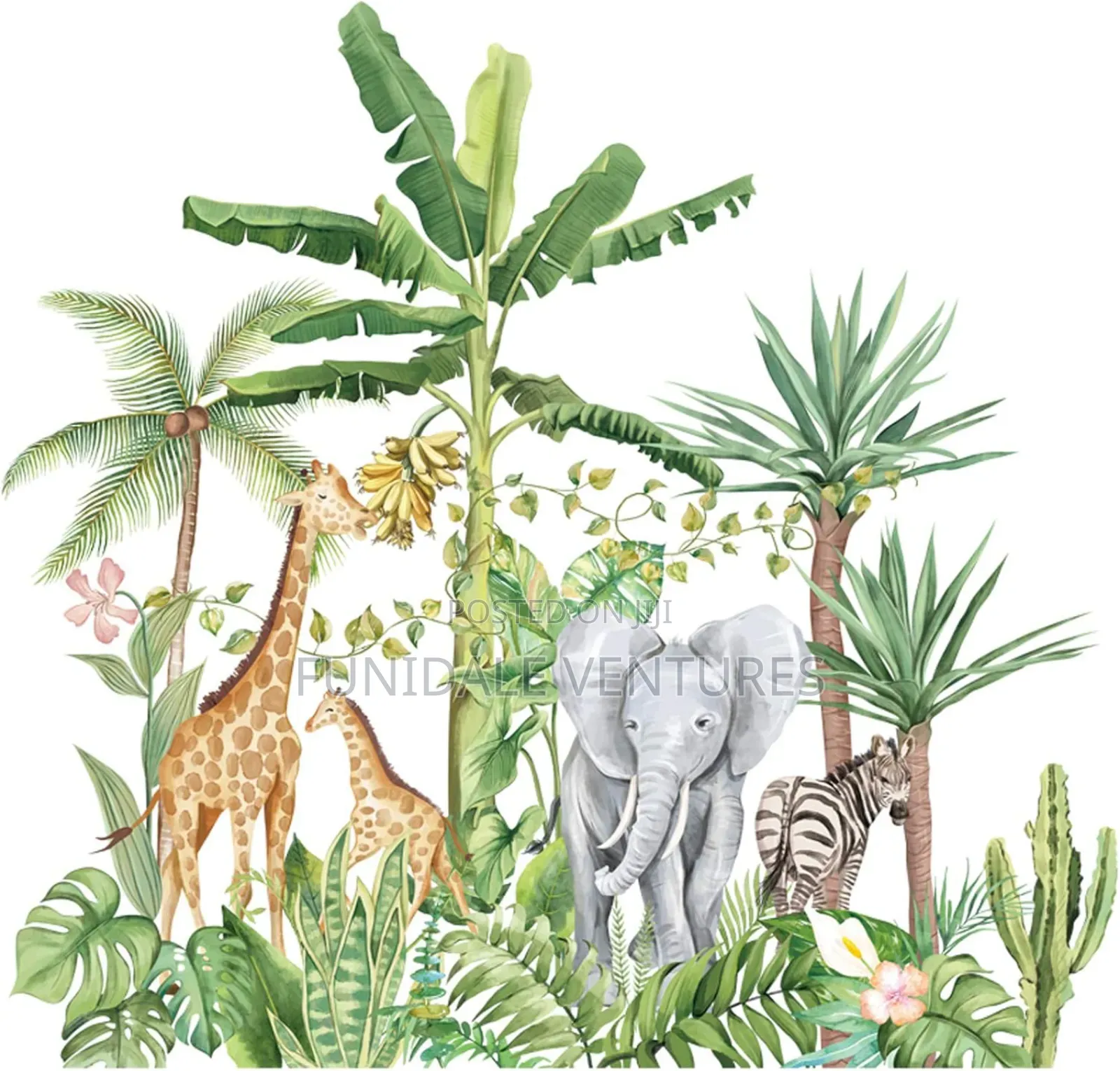 Tropical Rainforest Animals Decals in Surulere - Home Accessories ...