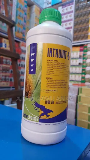 Introvit-B-Complex Oral 1000ml in Fagge - Feeds, Supplements & Seeds ...
