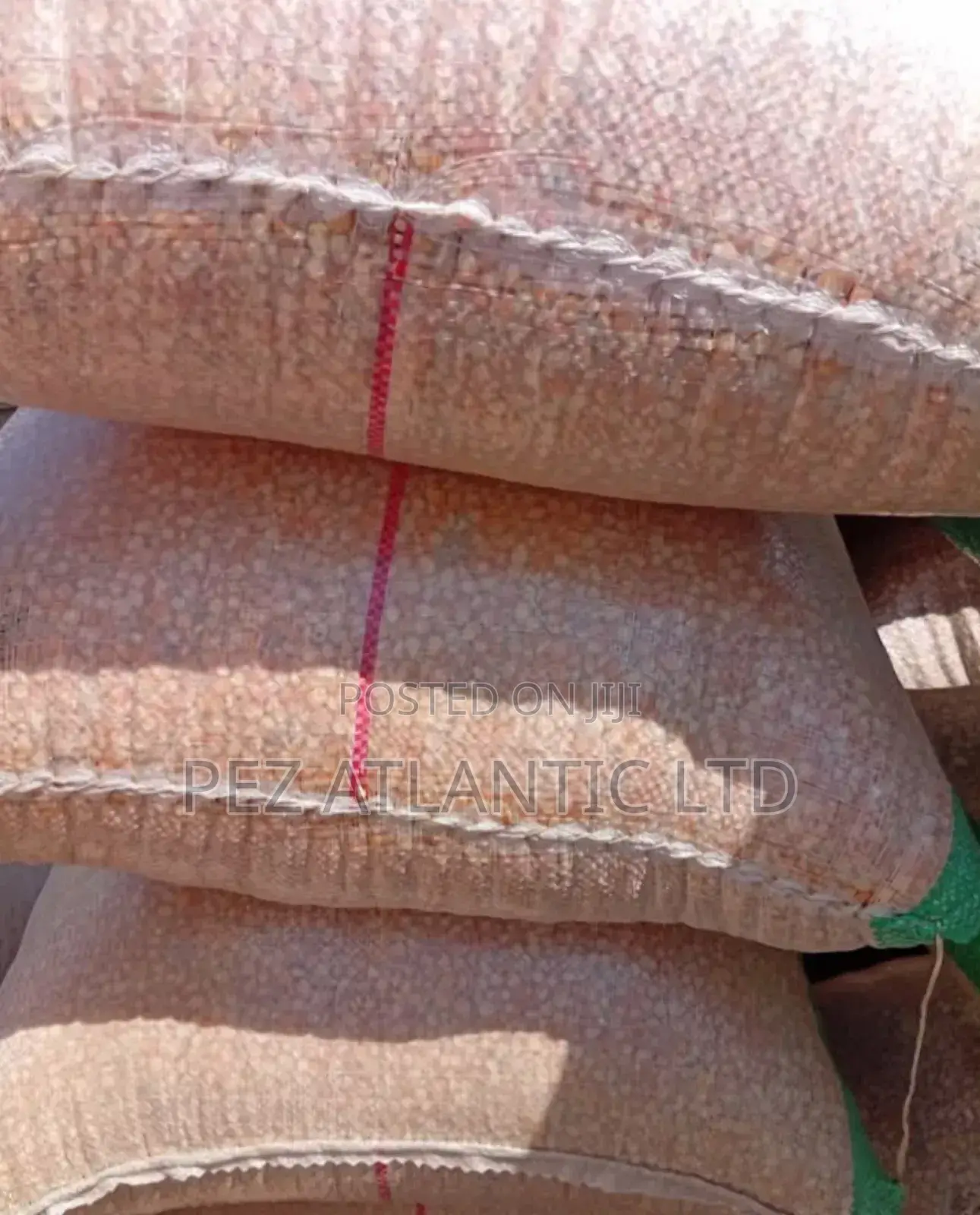 Dry Maize (Corn) Full 100kg Available for Bulk Buyers in Minna - Farm ...