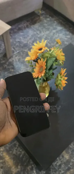 Apple iPhone 15 Pro Max in Nigeria for sale | Prices on Jiji.ng