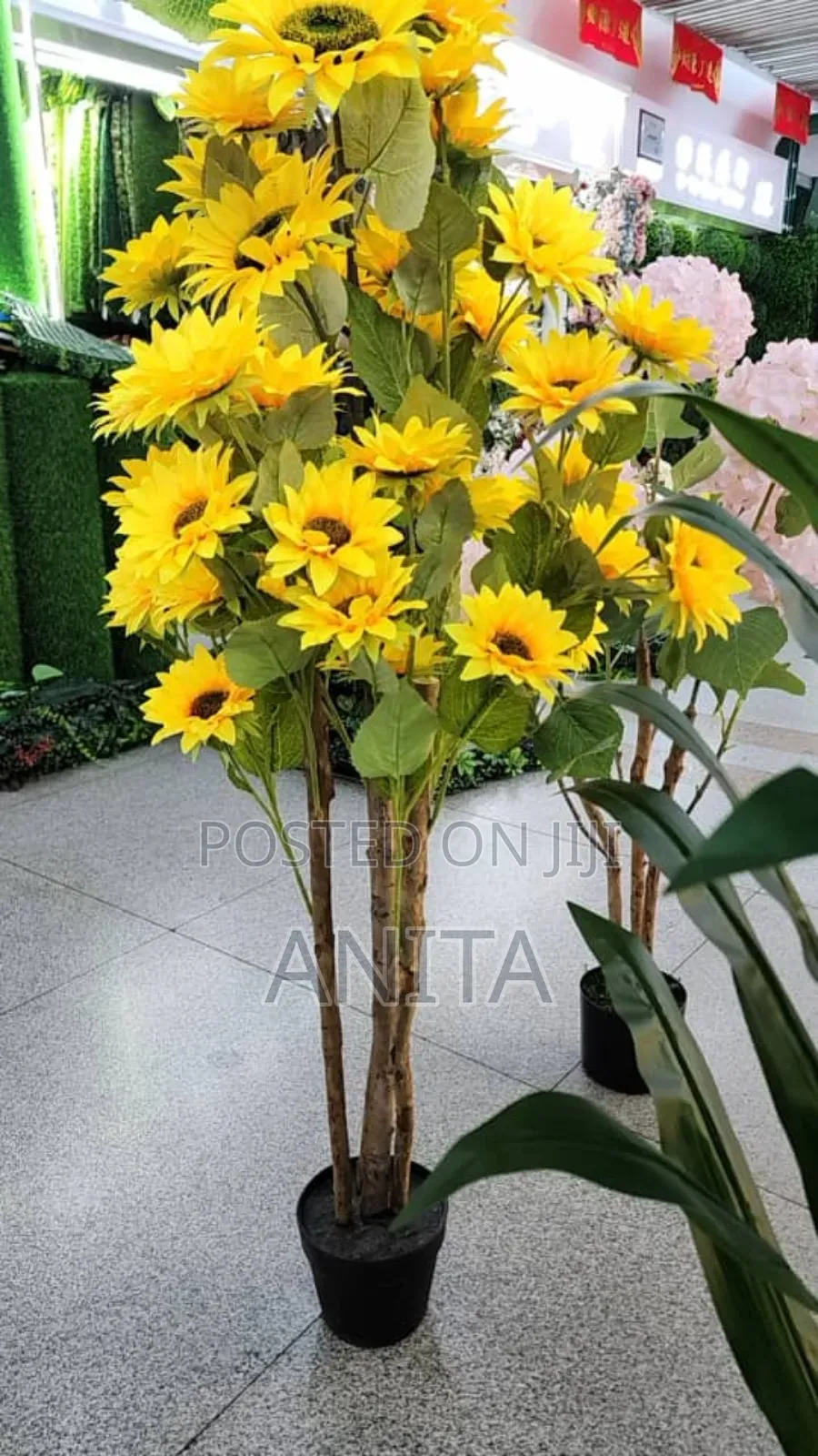 Sunflower Tree in a Small Black Pot in Ajah - Home Accessories, Anita ...