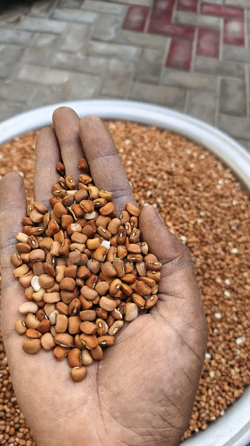 Oloo One Beans in Maiduguri - Food & Beverages, Azeelaw Foods | Jiji.ng