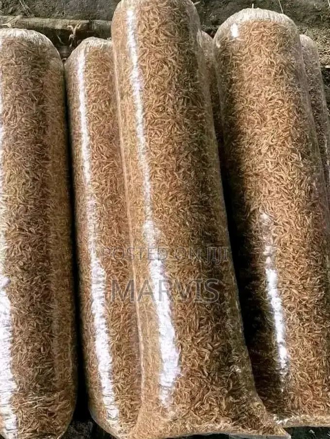 Crayfish In Bulk And Retail in Kubwa - Food & Beverages, Marvis Paul ...