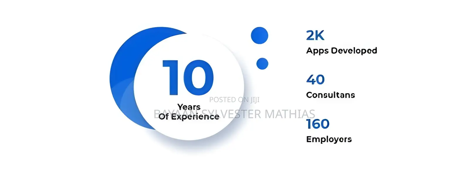 Wordpress Website Development Services in Central Business District ...