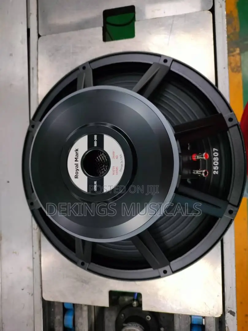 Professional Royal Mark 2000watts 8ohms Naked Speaker Cone in Ikeja ...