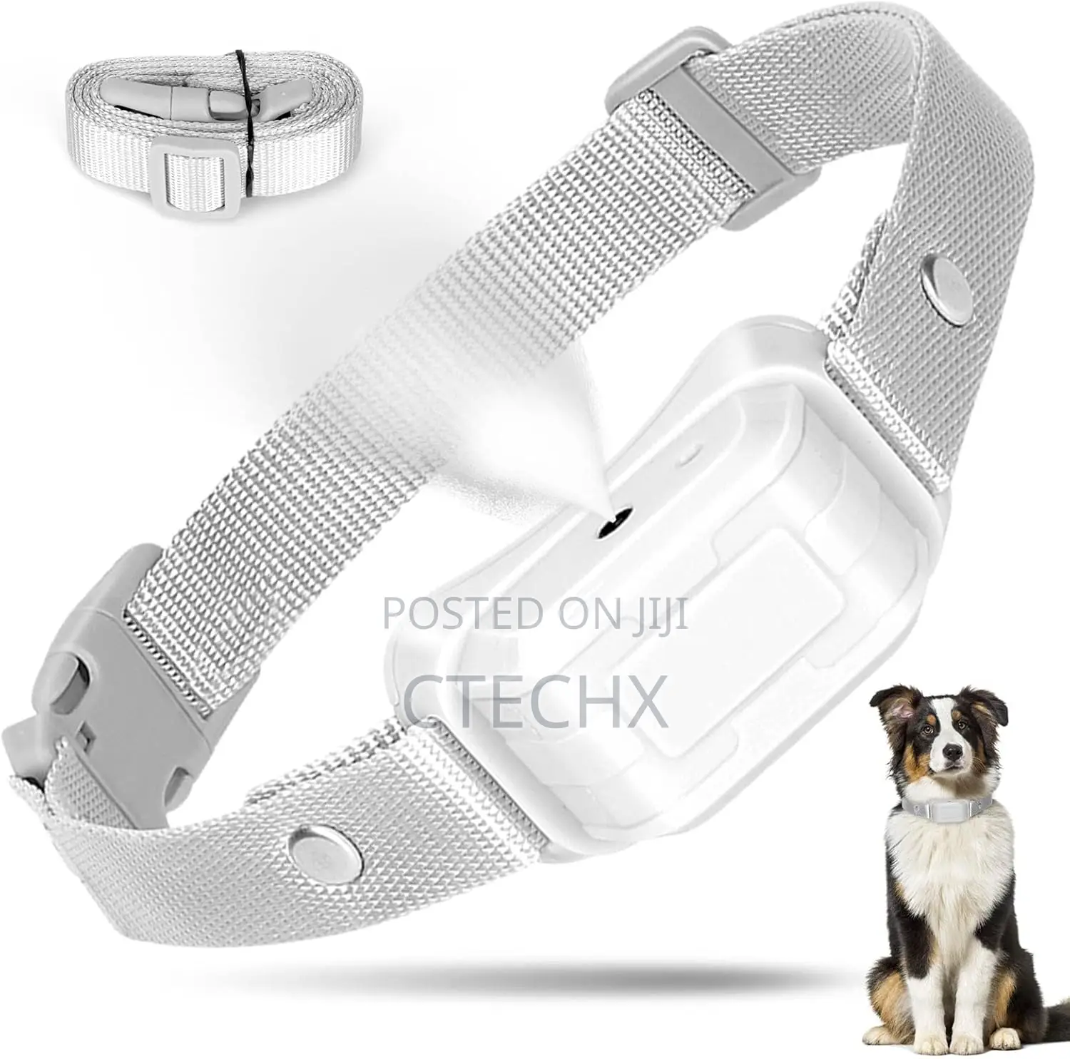 Citronella Dog Collar Anti-Barking Spray Rechargeable Ipx65 in Ikeja ...