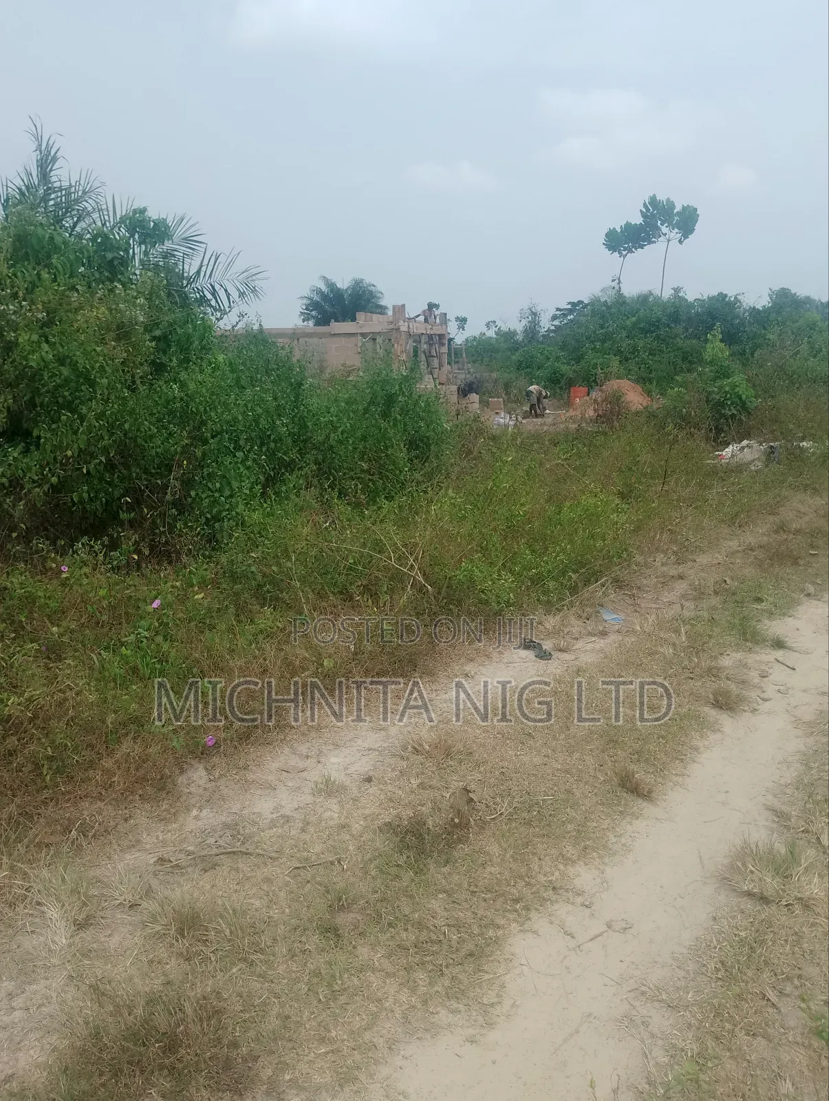 Existion Land in Epe - Land & Plots for Sale, Akinwale Olusayo | Jiji.ng