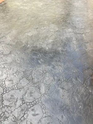 Elephant Skin Stamp Floor Design in Magodo - Landscaping & Gardening ...