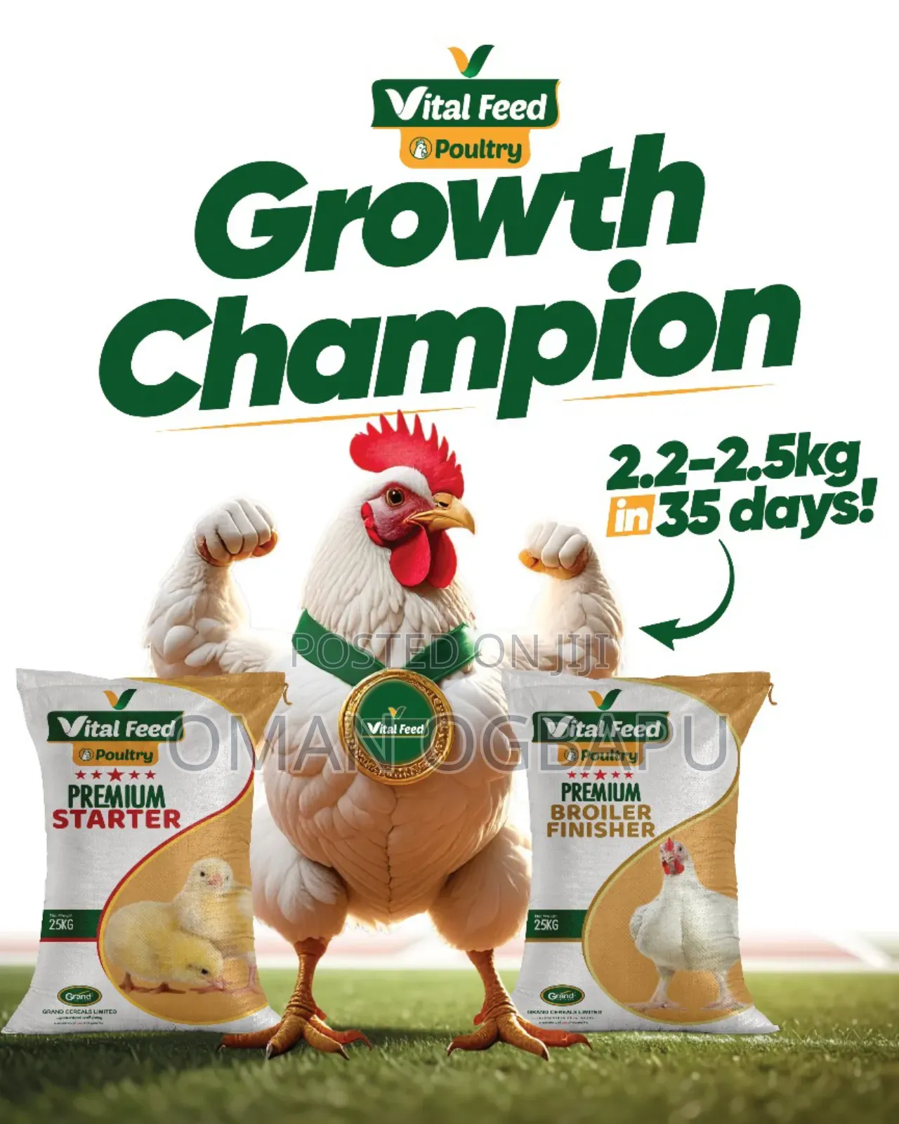 Professional Poultry And Fish Feed in Port-Harcourt - Farm Animal Feed ...