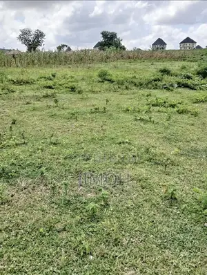 1.5 Hectares Land for Sale in Kurudu - Land & Plots for Sale, Jimoh ...