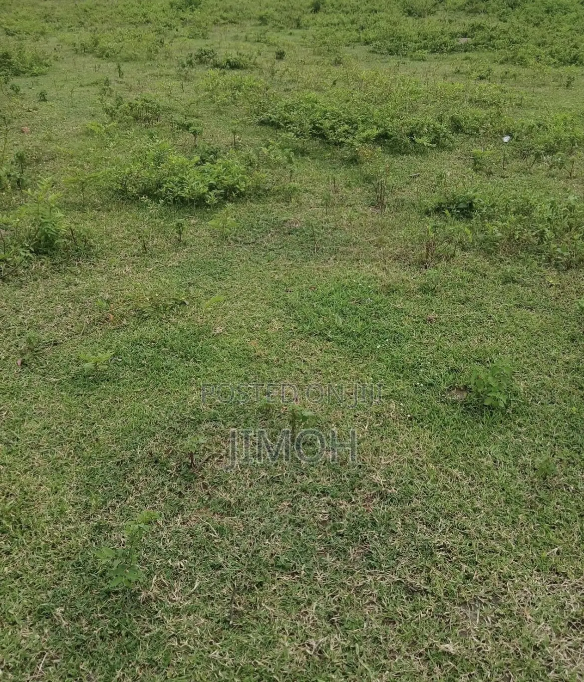 1.5 Hectares Land for Sale in Kurudu - Land & Plots for Sale, Jimoh ...