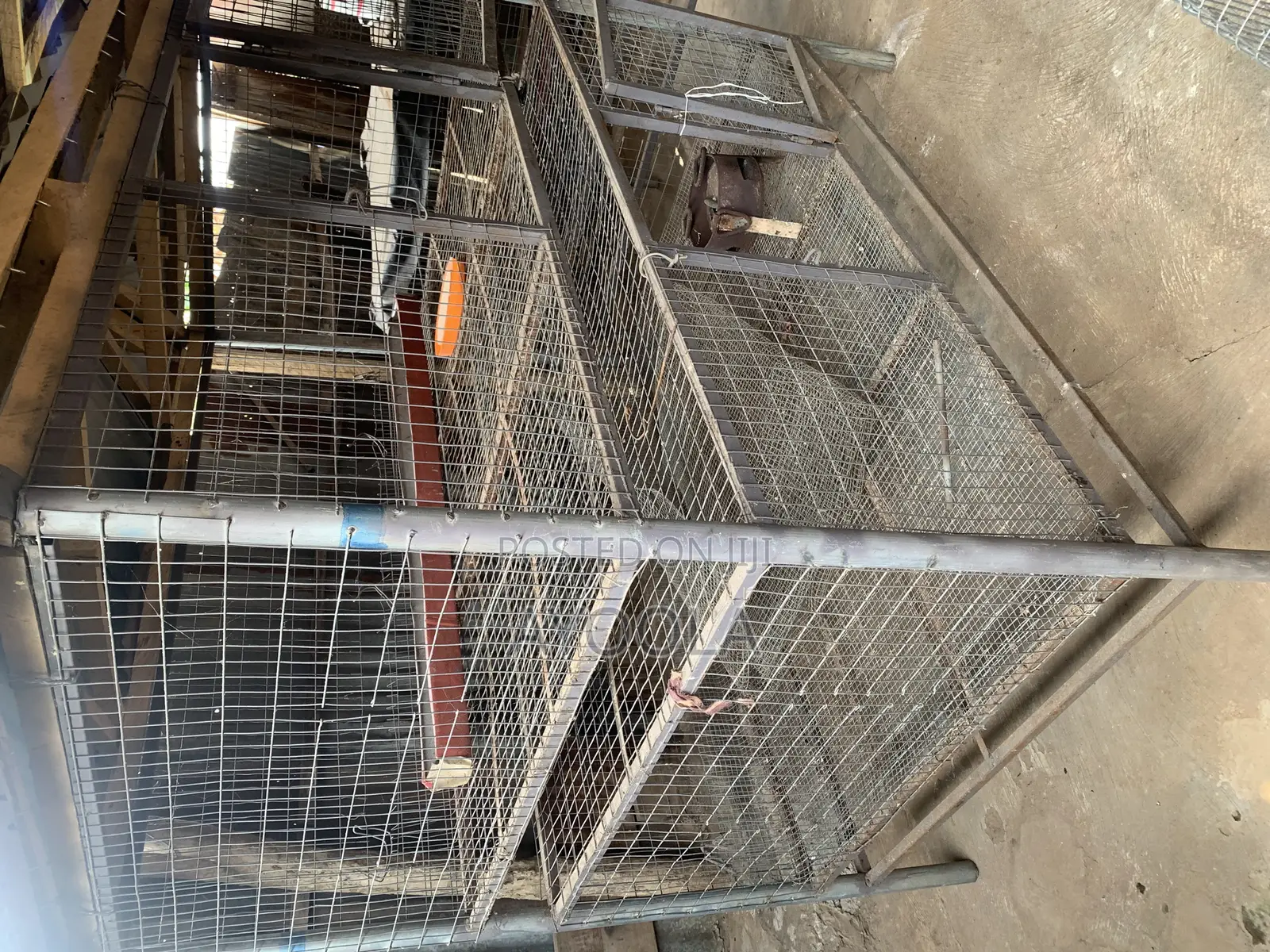 Battery Cage for Broilers/Growers in Akure - Farm Machinery & Equipment ...
