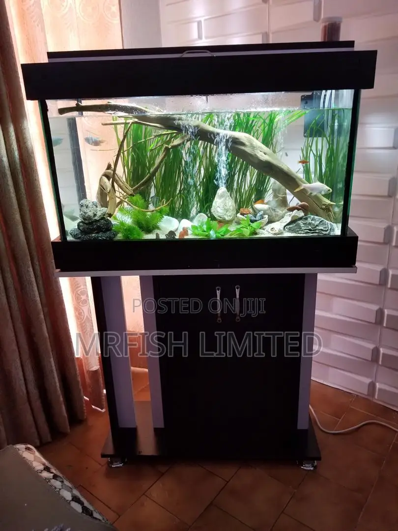 Aquarium + Stand in Alimosho - Fish, Israel Adediran | Jiji.ng