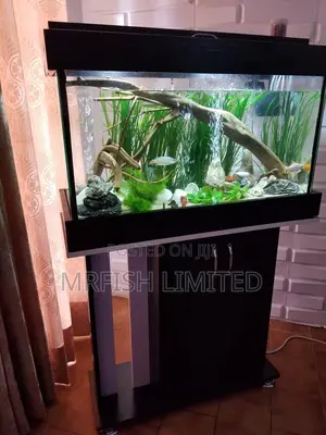 Aquarium + Stand in Alimosho - Fish, Israel Adediran | Jiji.ng